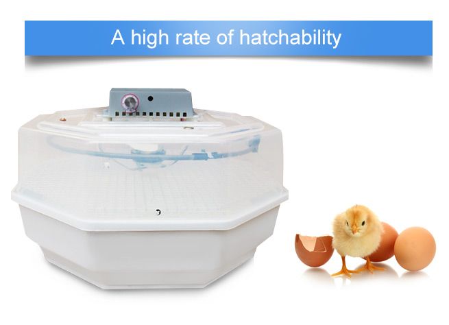 60 Poultry Egg Electronic Incubator | Crazy Sales