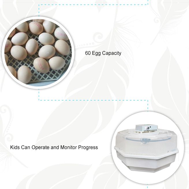 60 Poultry Egg Electronic Incubator | Crazy Sales