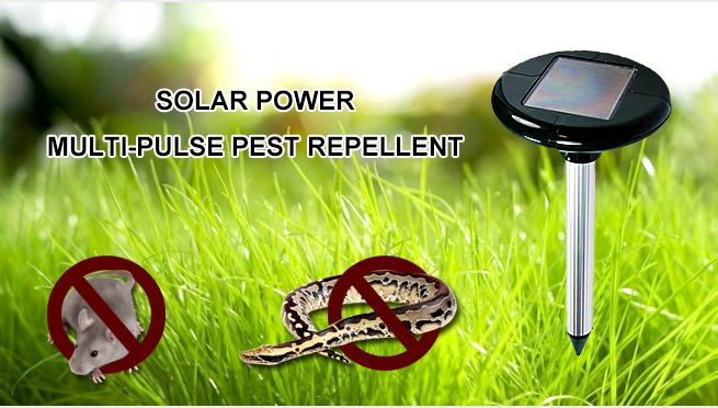 Solar Powered Snake Repellent - Set of 6 | Crazy Sales