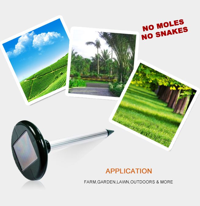 Solar Powered Snake Repellent - Set of 6 | Crazy Sales