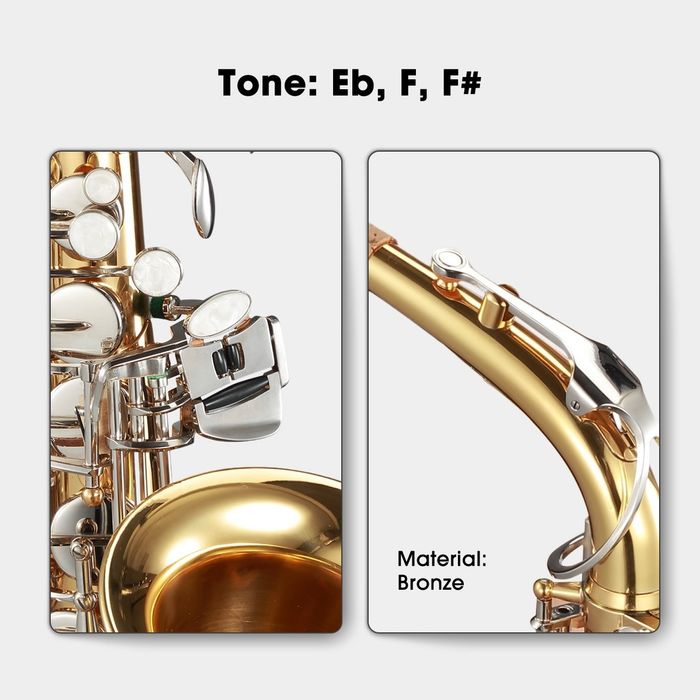 Melodic Alto Saxophone Eb Be E Flat Brass Alto Sax with Mouthpiece Case ...
