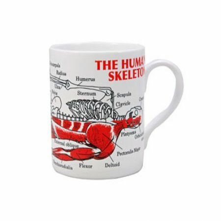 Educational Coffee Mugs - Human Skeleton | Crazy Sales