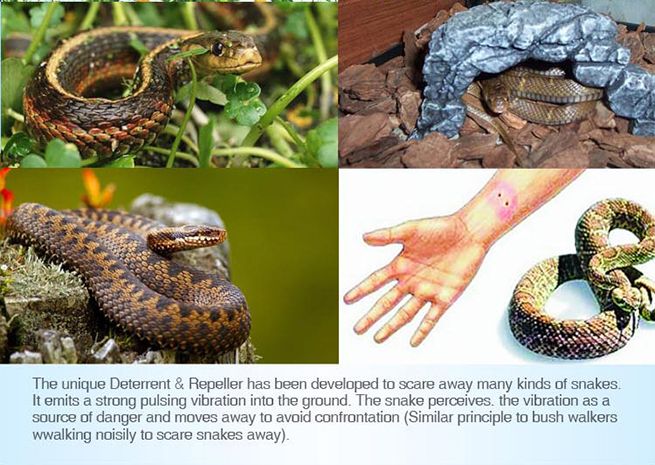 Solar Powered Snake Repellent - Set of 4 | Crazy Sales