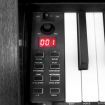 MELODIC 100 Rhythms 88 Standard Weighted Keys(Hammer-Action) 3 Pedals ...