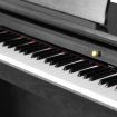 MELODIC 100 Rhythms 88 Standard Weighted Keys(Hammer-Action) 3 Pedals ...