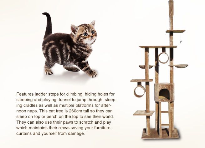 260cm Gym Play Centre Cat Tree - Multi Level | Crazy Sales