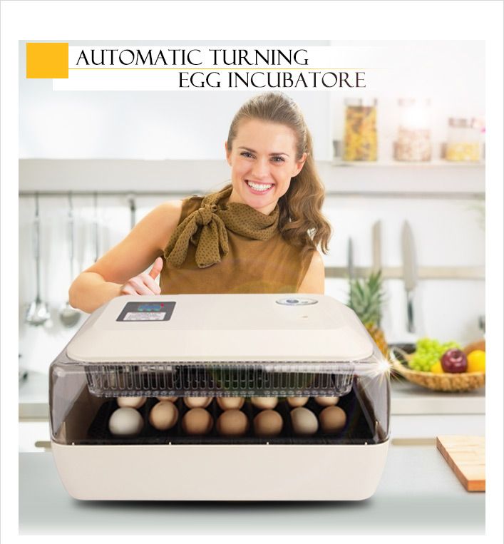 Auto-Turning Egg Incubator | Crazy Sales