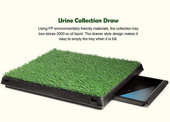 Large Indoor Pet Toilet | Crazy Sales