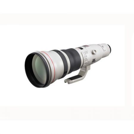 Canon EF 800mm f/5.6L IS USM Telephoto Lens