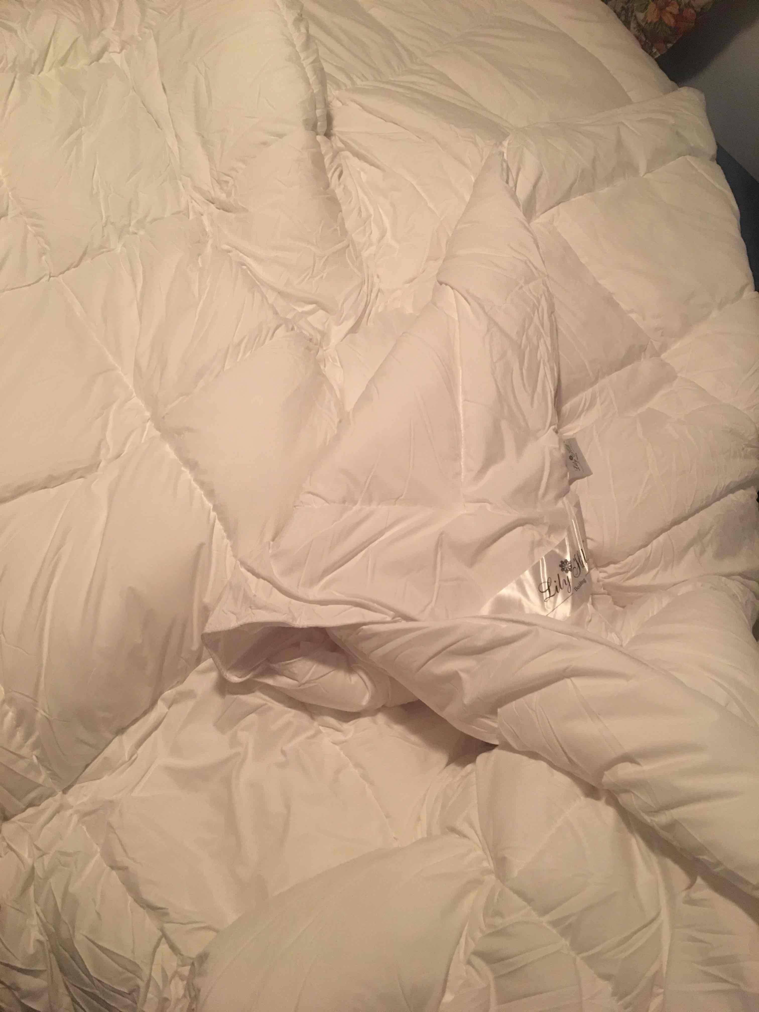 400GSM Microfibre Quilt with Bamboo Fiber Filling Super King Quilt ...